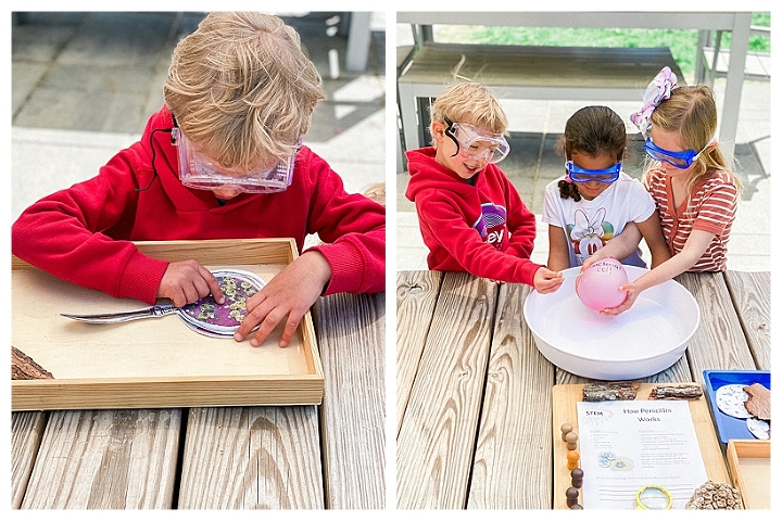 Explore the Great Outdoors at Our Nature-Based St Louis Summer Camp ...